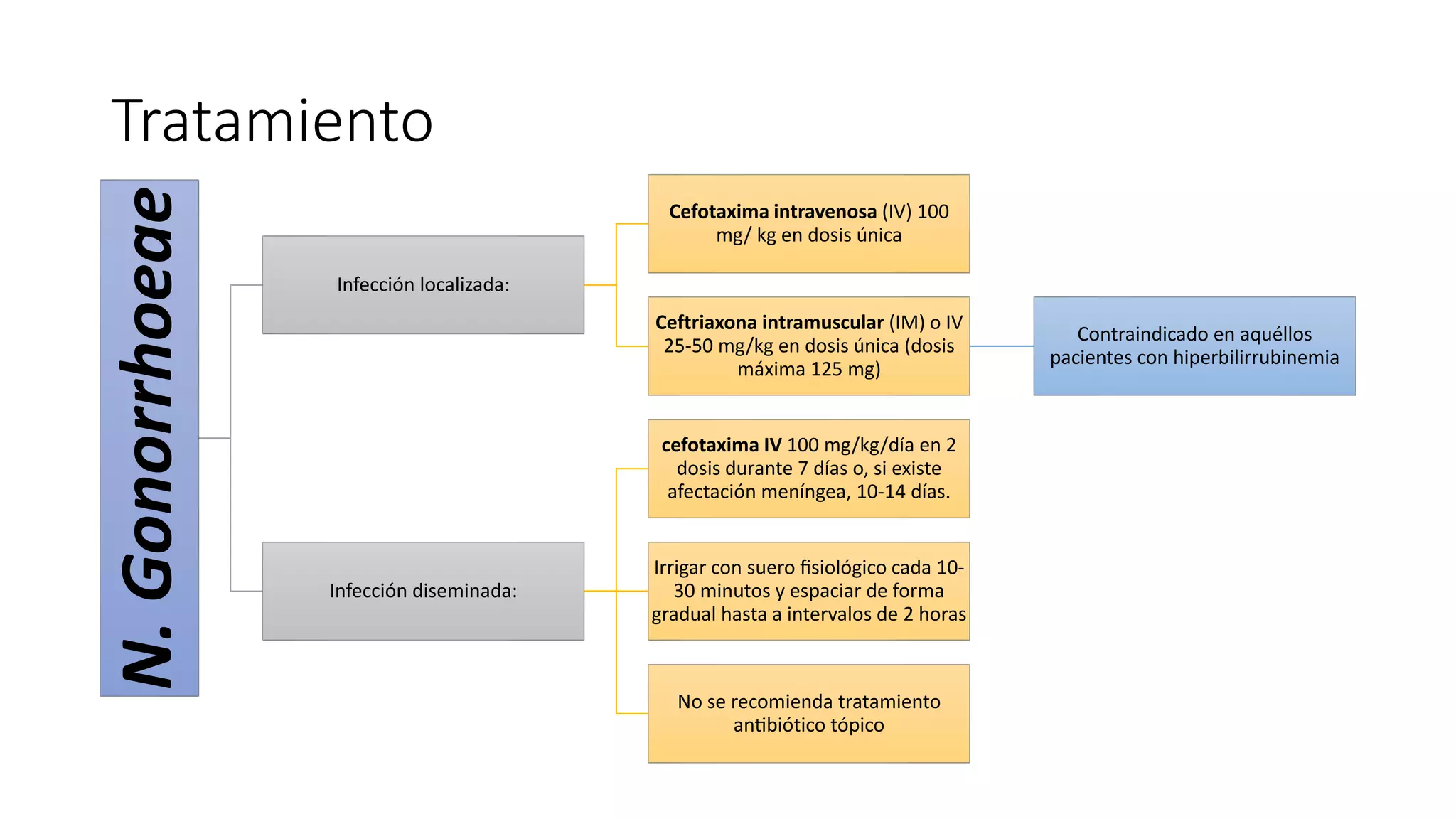Conjuntivitis neonatal | PPT