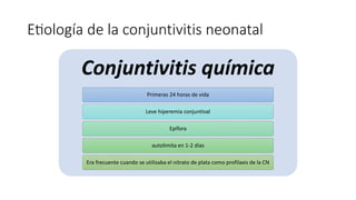 Conjuntivitis neonatal | PPTX