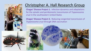 Opening the One Health Workforce Pipeline: Education and Research ...