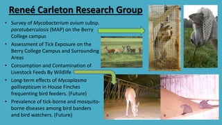 Opening the One Health Workforce Pipeline: Education and Research ...