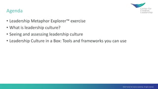 Seeing and assessing leadership culture | PPTX