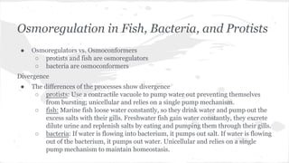 Connecting e.k.'s and examples | PPT