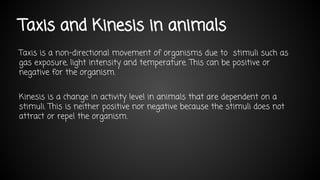 Connecting e.k's and examples | PDF