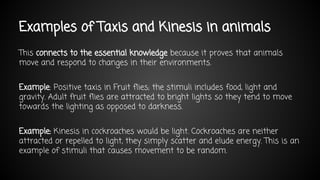 Connecting e.k's and examples | PDF