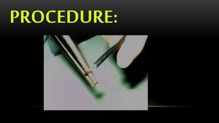 Connecting skinned wires to the different terminals.pptx