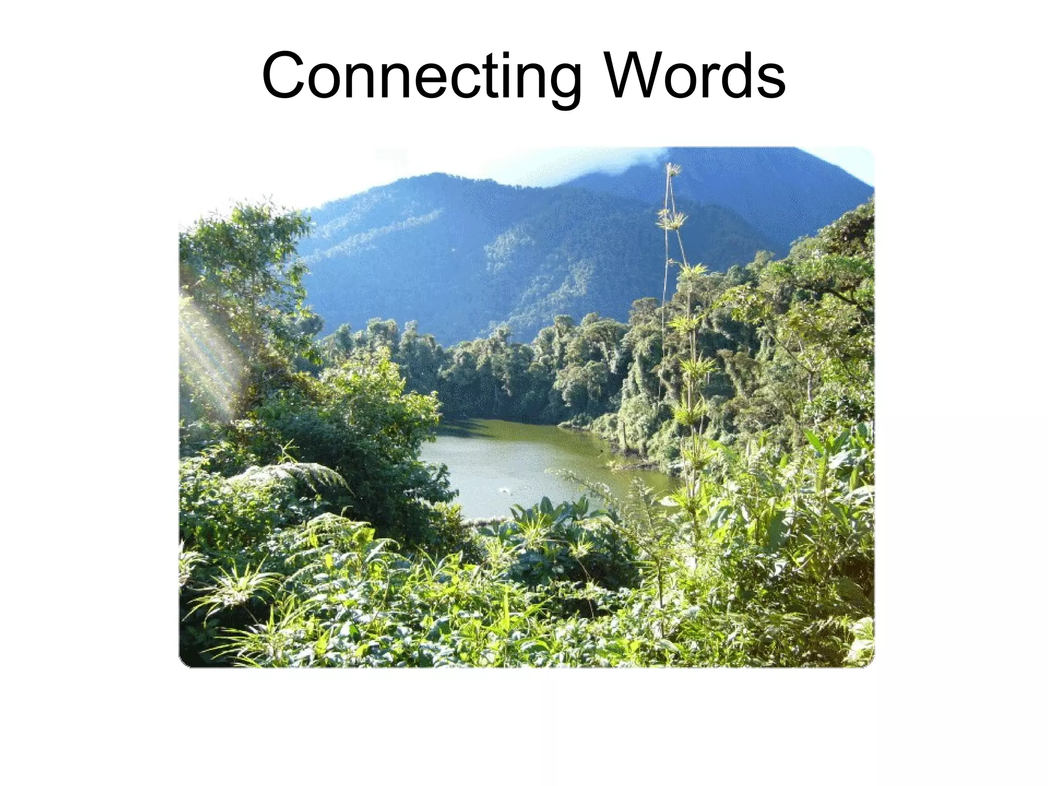 Connecting Words | PPS