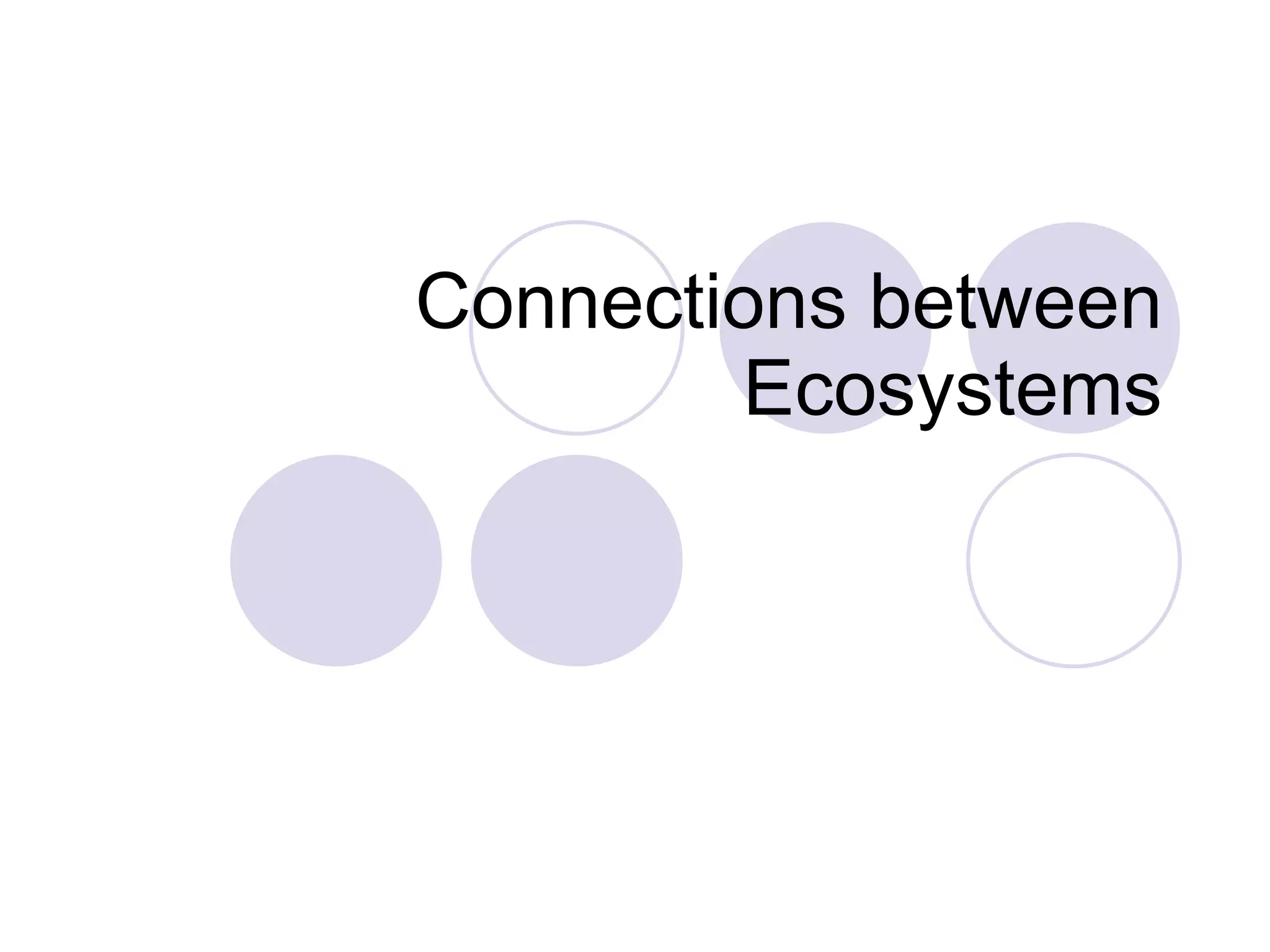 Connections Between Ecosystems | PPT