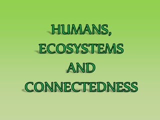 Connections in nature | PPTX