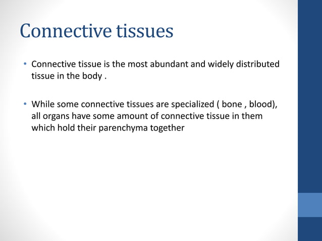 Connective tissues | PPTX