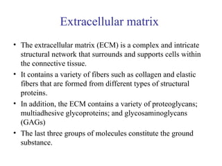 Connective tissue histology presentation (1).ppt