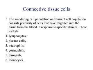 Connective tissue histology presentation (1).ppt