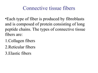 Connective tissue histology presentation (1).ppt