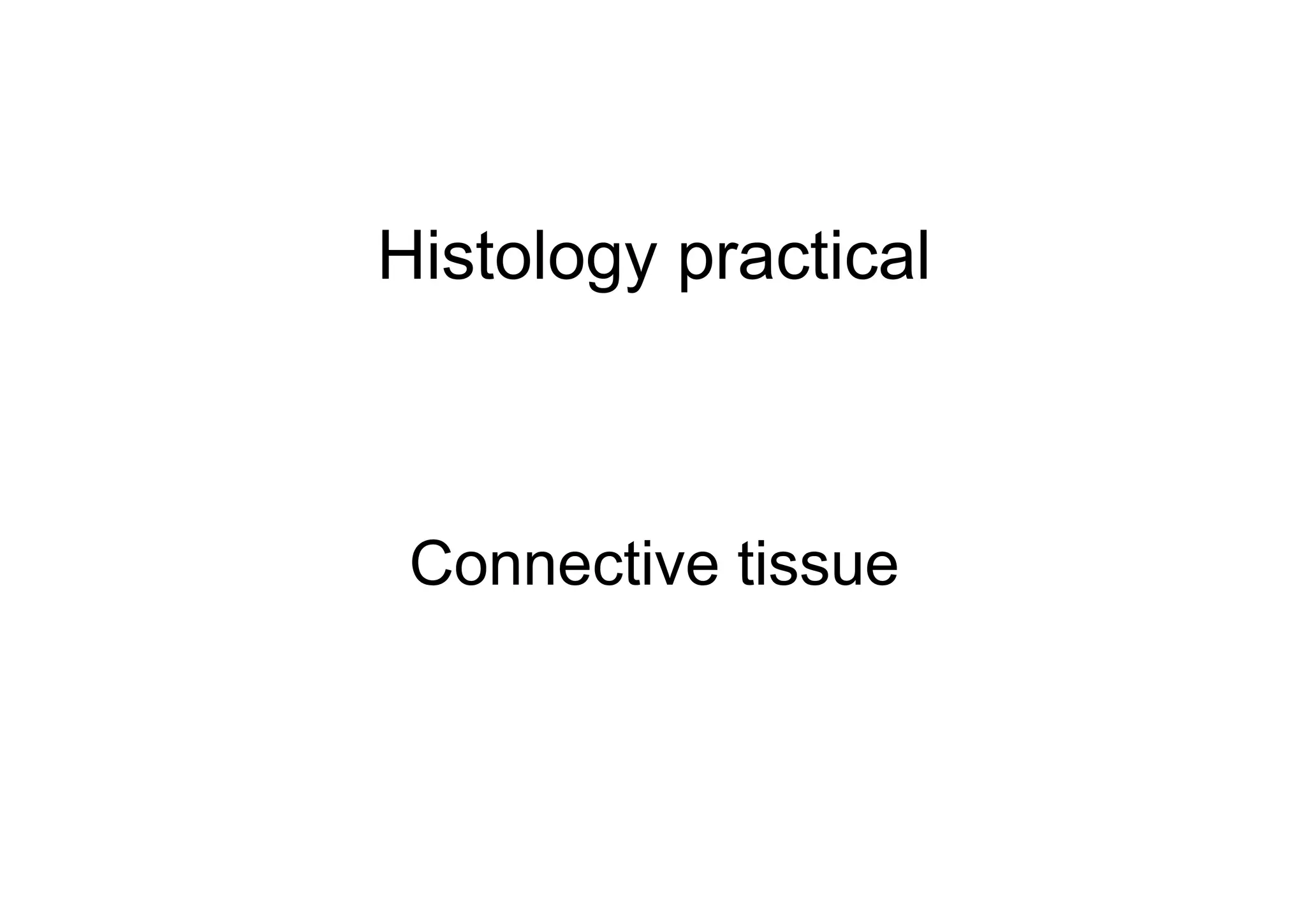 Connective and supporting tissue | PDF