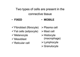 Connective and supporting tissue | PDF