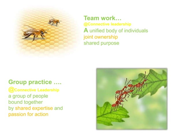 Connective leadership | PPT