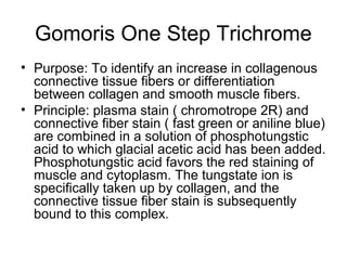 Connective tissue | PPT