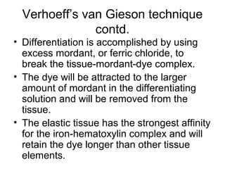 Connective tissue | PPT