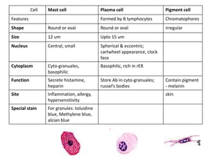 Types Of Connective Tissue Cells