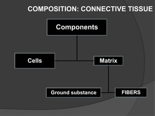 Connective tissue | PPTX