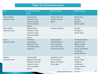 Connective Tissue Types Chart