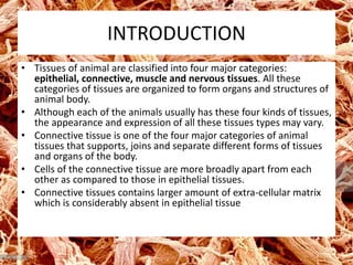 Connective Tissue in Animals | PPTX