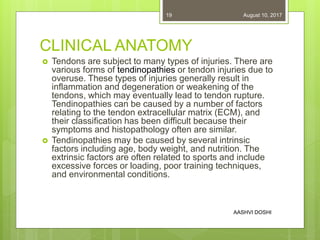 Connective tissue | PPTX