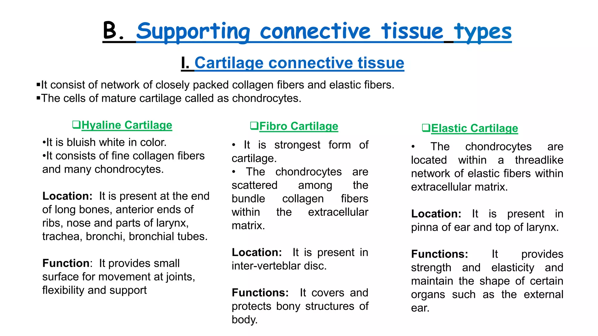 Connective tissue | PPT