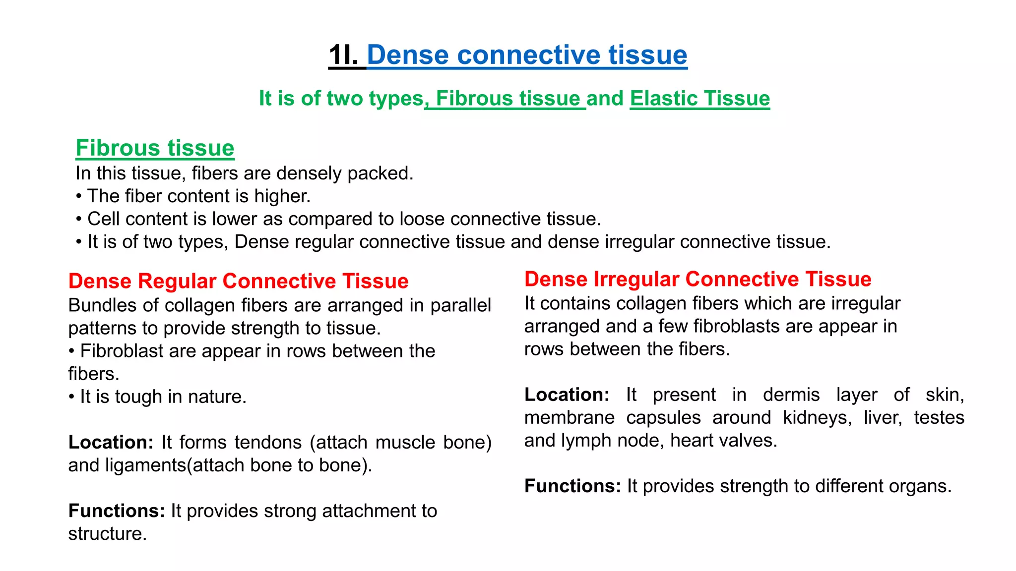 Connective tissue | PPT