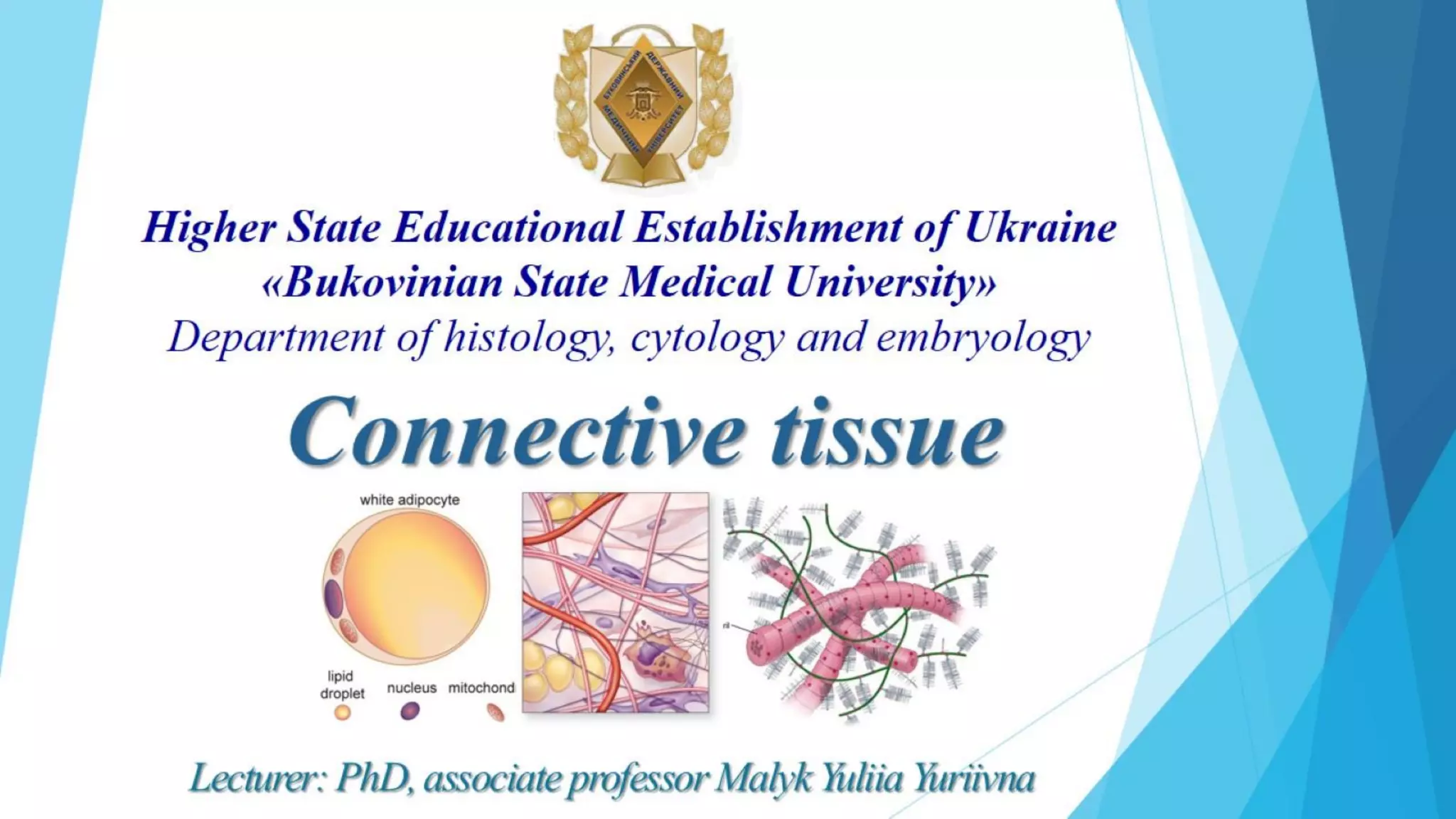 Connective tissue | PDF