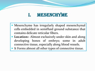 Connective tissue | PDF