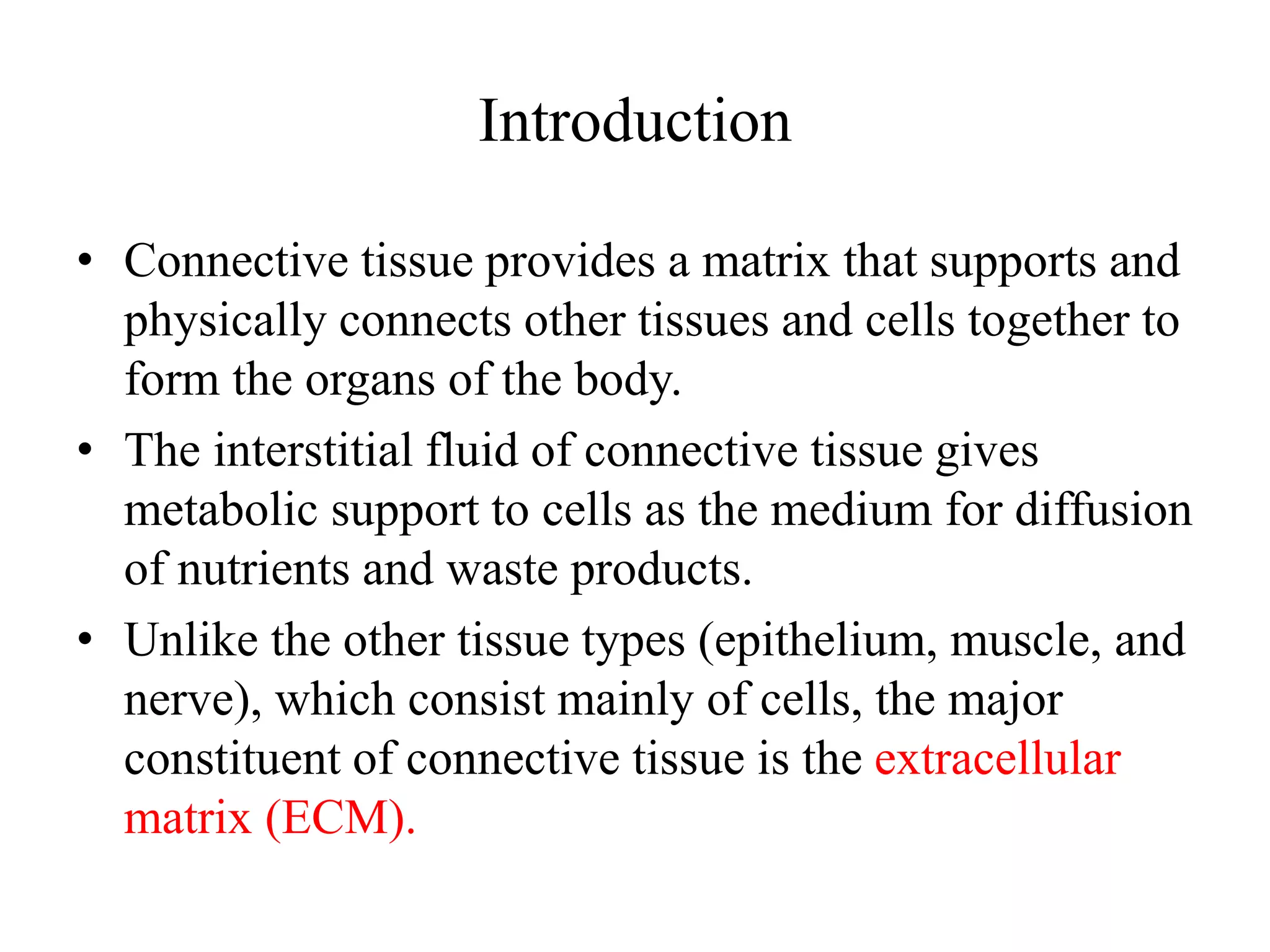 connective tissue.pptx
