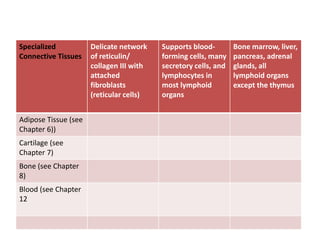 connective tissue.pptx