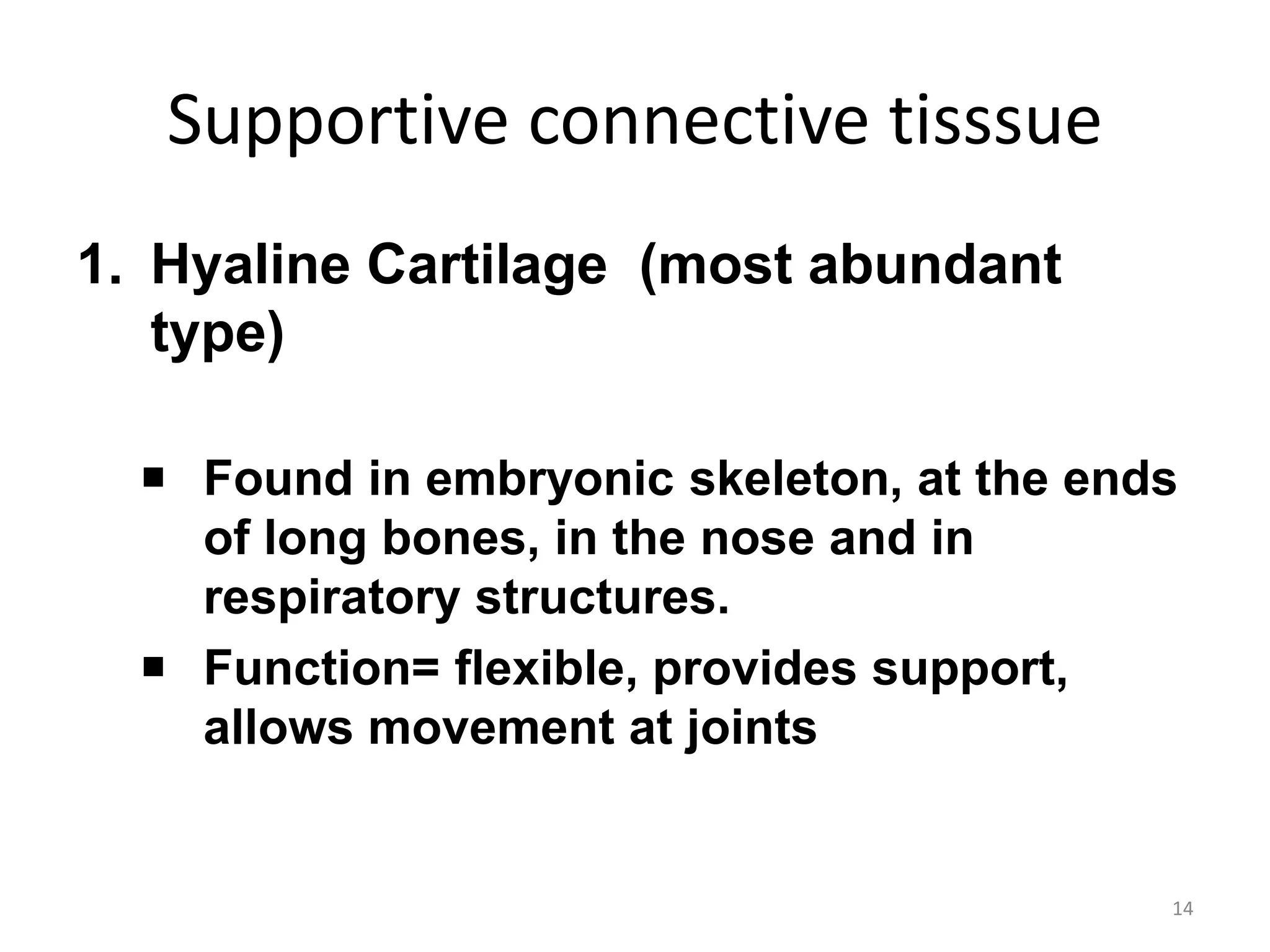 Connective Tissue.pptx