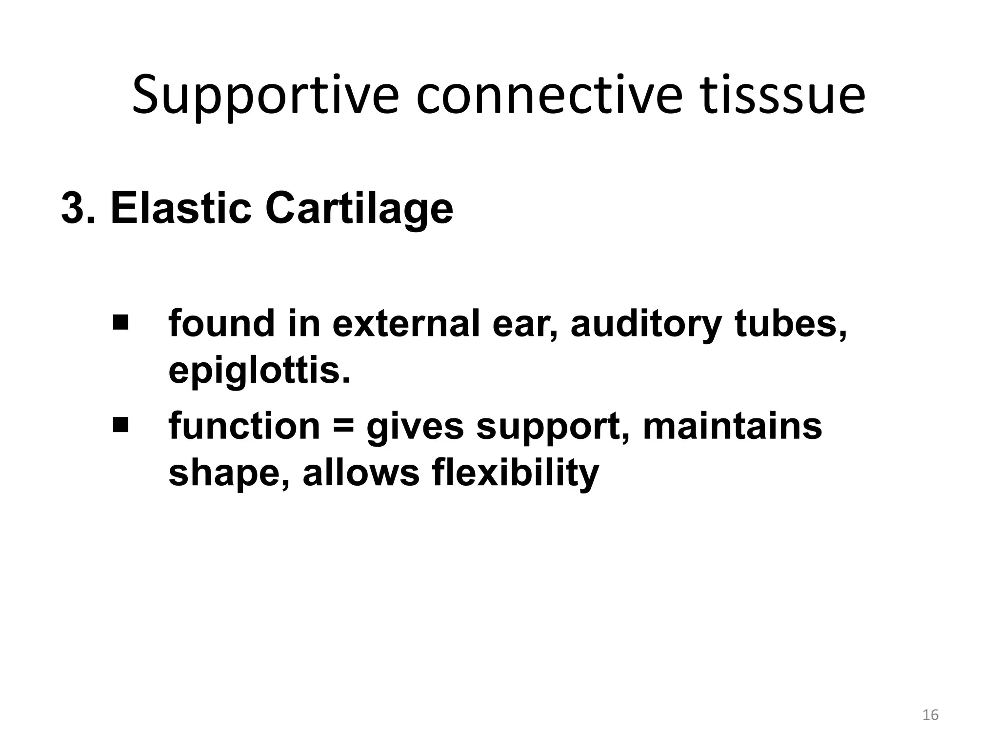 Connective Tissue.pptx