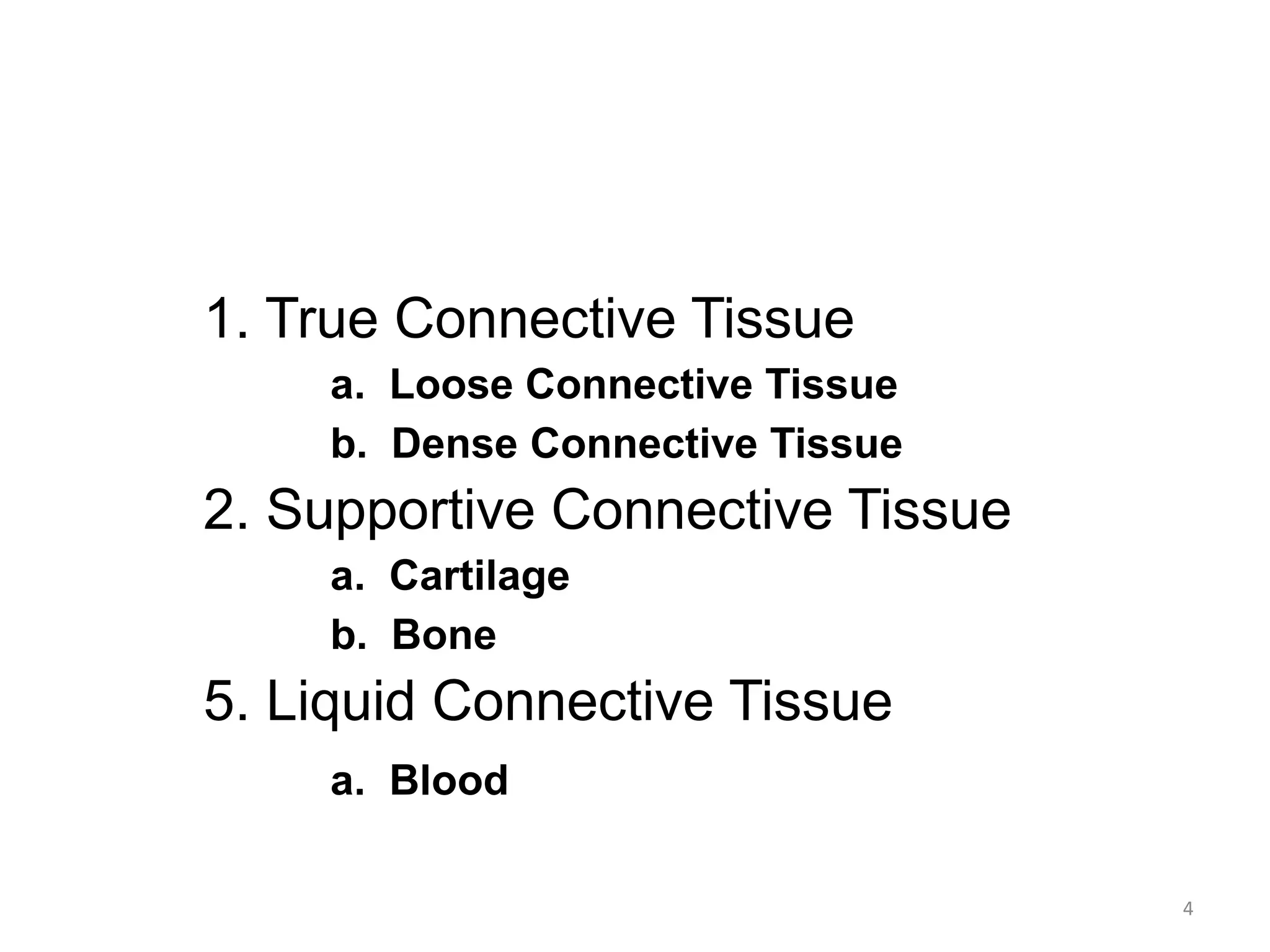 Connective Tissue.pptx