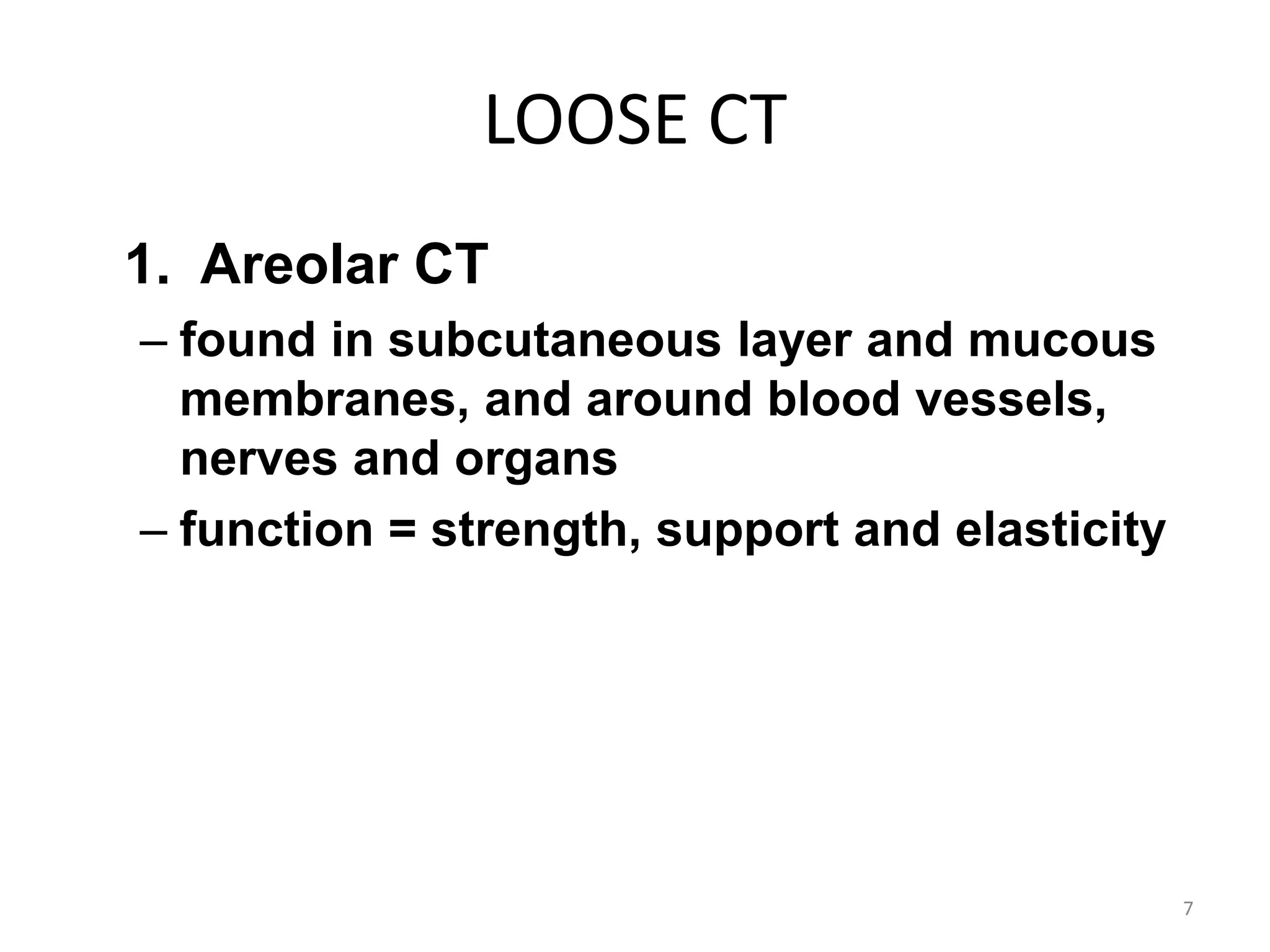 Connective Tissue.pptx