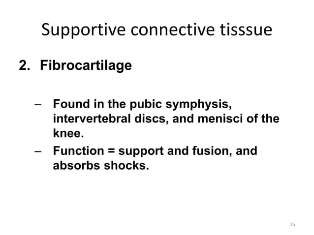 Connective Tissue.pptx
