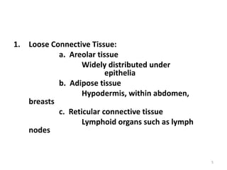 Connective Tissue.pptx