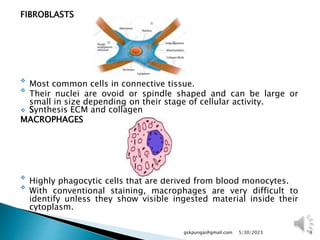 connective tissue | PPTX