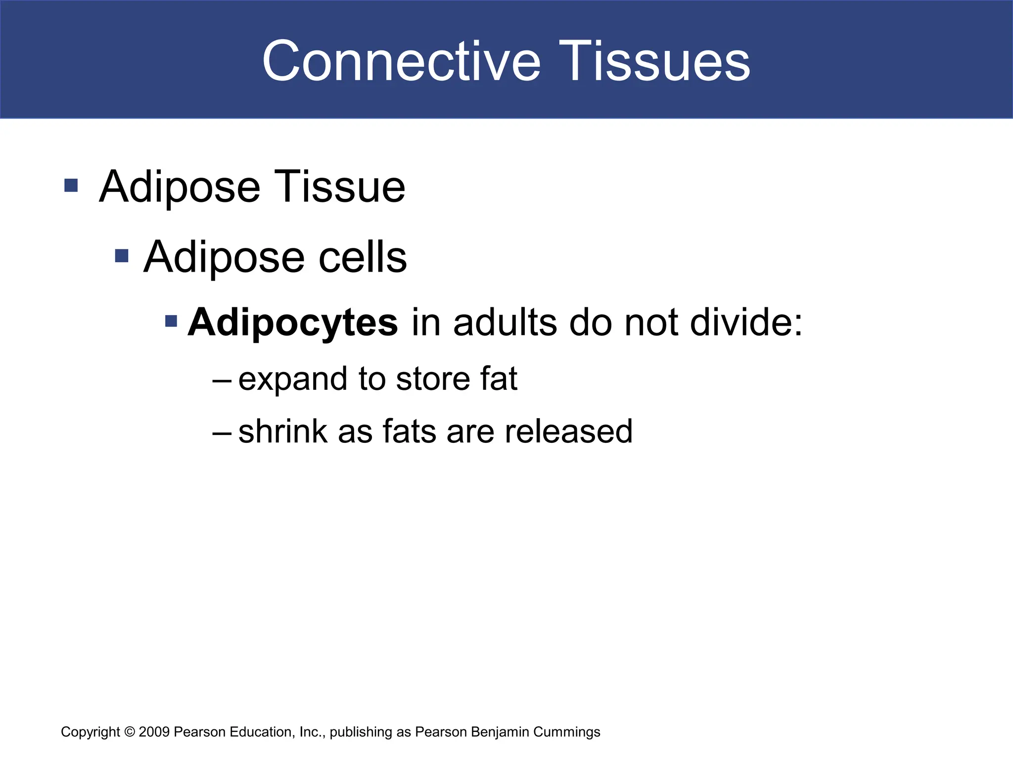 A detailed description about the Connective Tissues | PDF