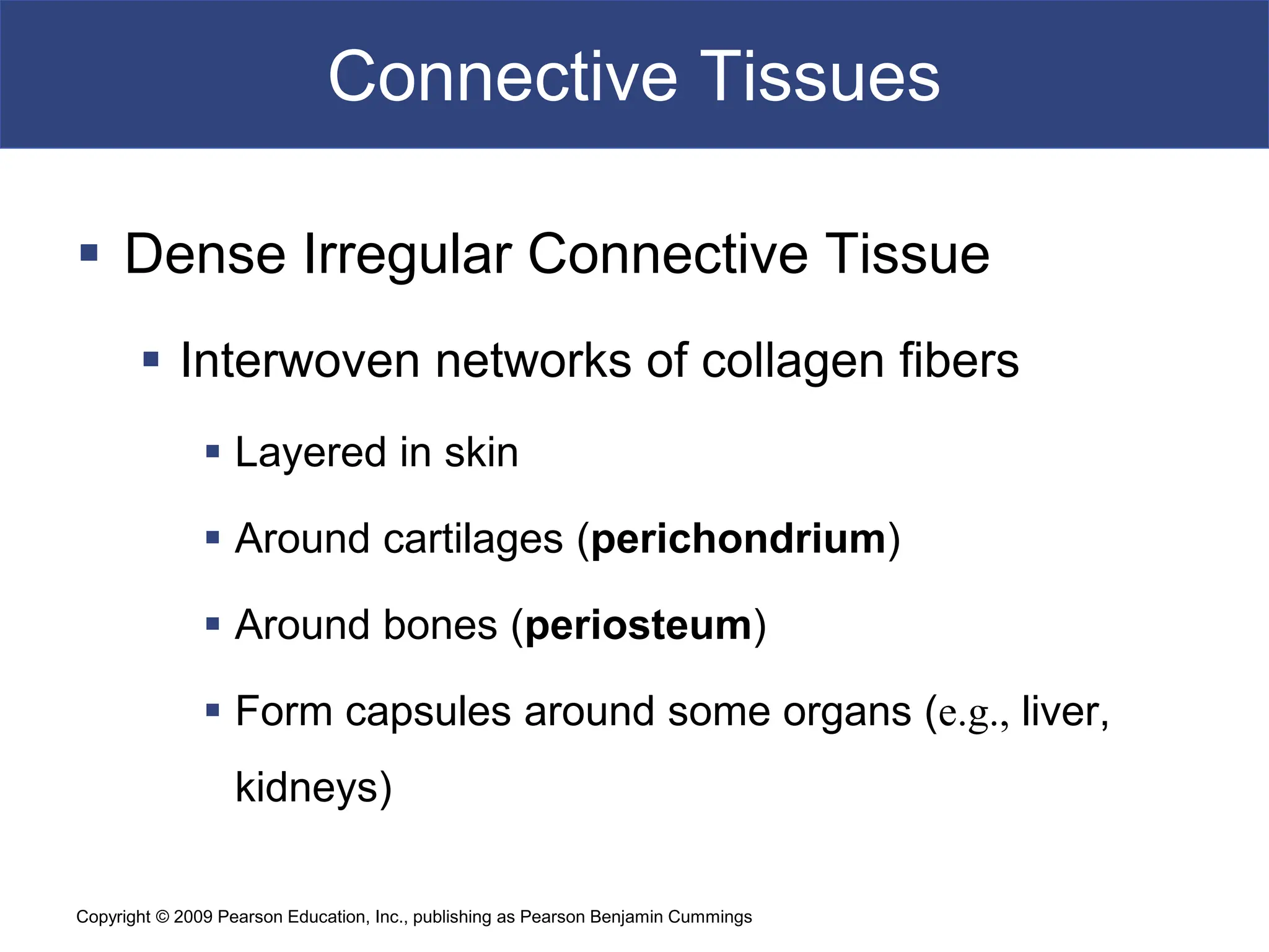 A detailed description about the Connective Tissues | PDF
