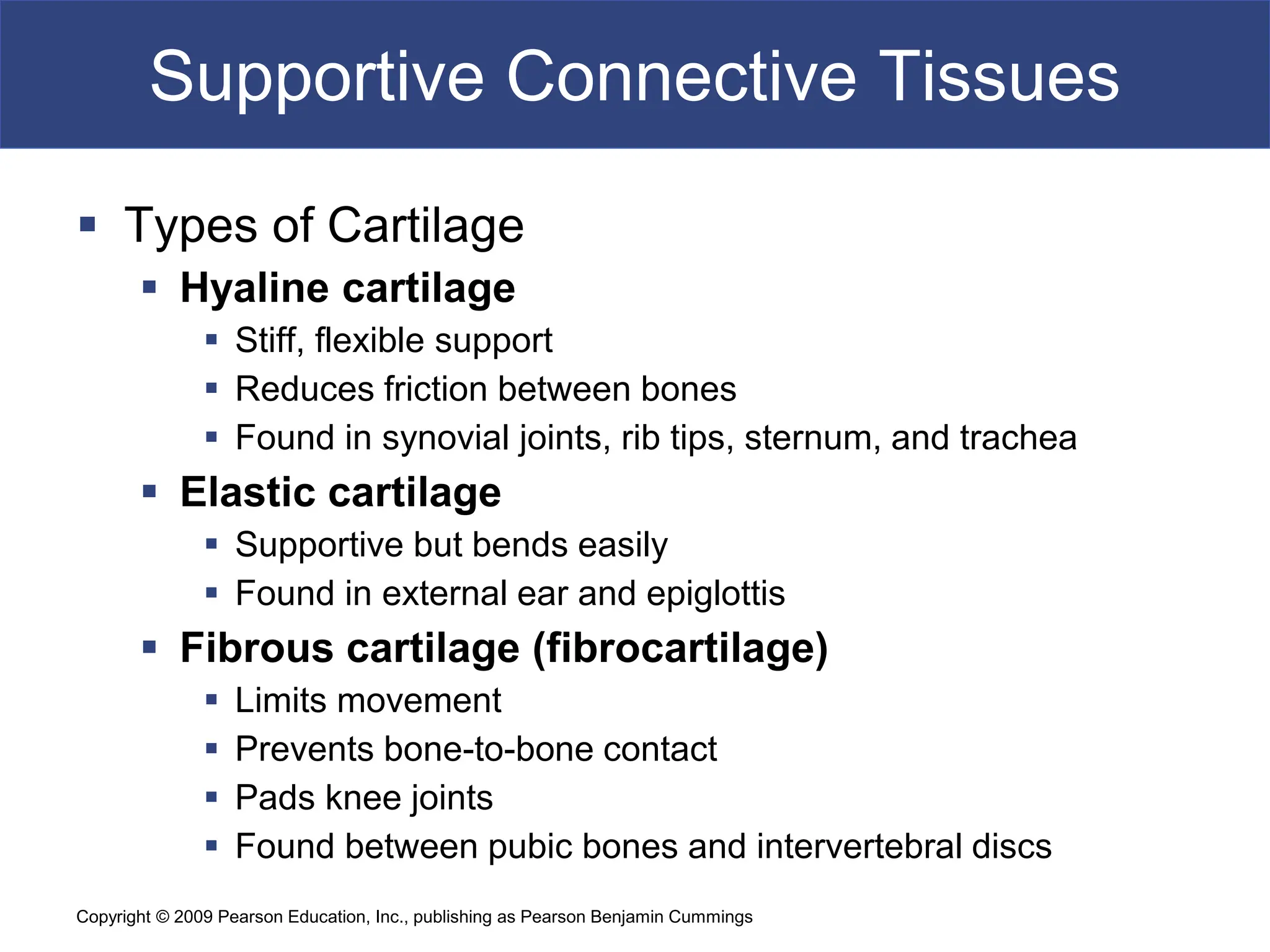 A detailed description about the Connective Tissues | PDF
