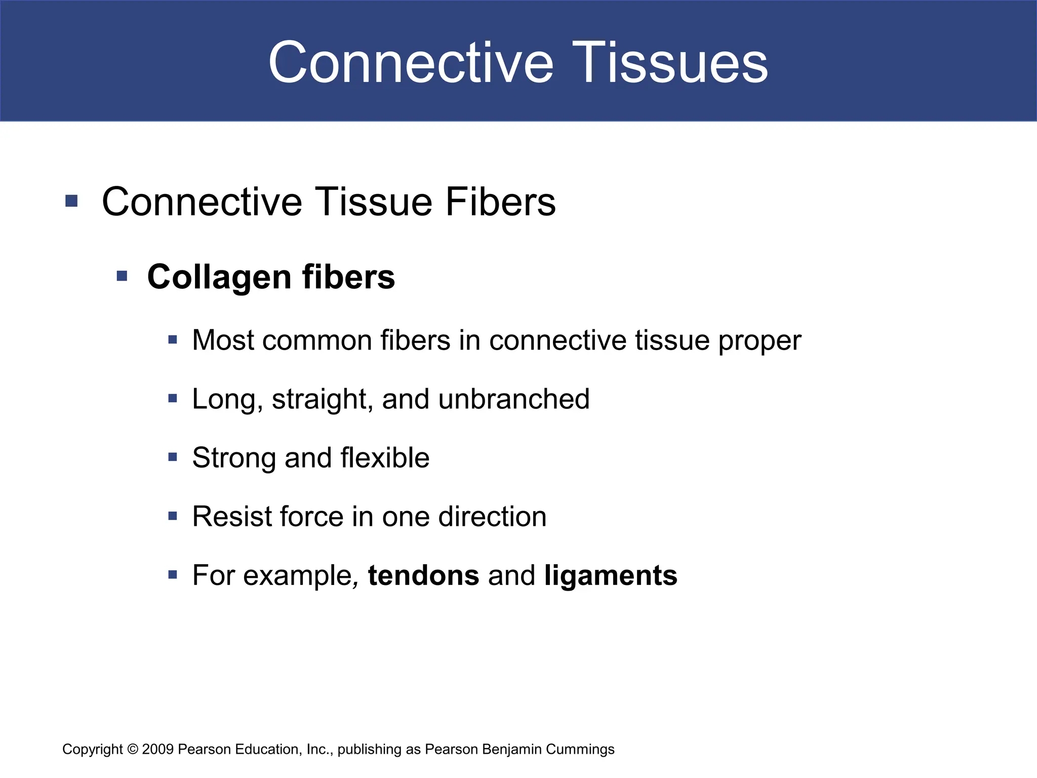 A detailed description about the Connective Tissues | PDF