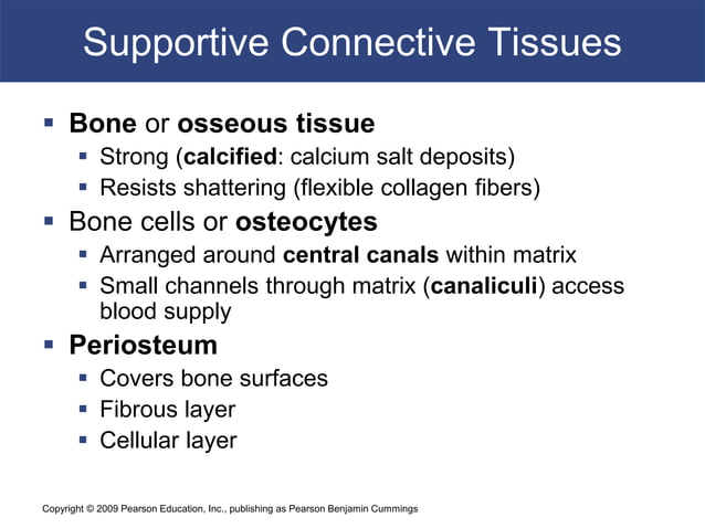 A detailed description about the Connective Tissues | PPT