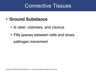 A detailed description about the Connective Tissues | PPT