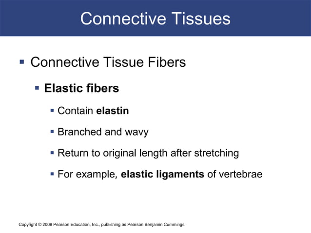 A detailed description about the Connective Tissues | PPT