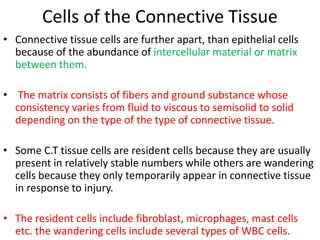 connective tissue.pptx for students studying physiology or in the ...