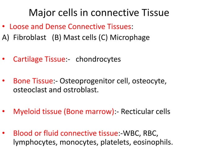 connective tissue.pptx for students studying physiology or in the ...