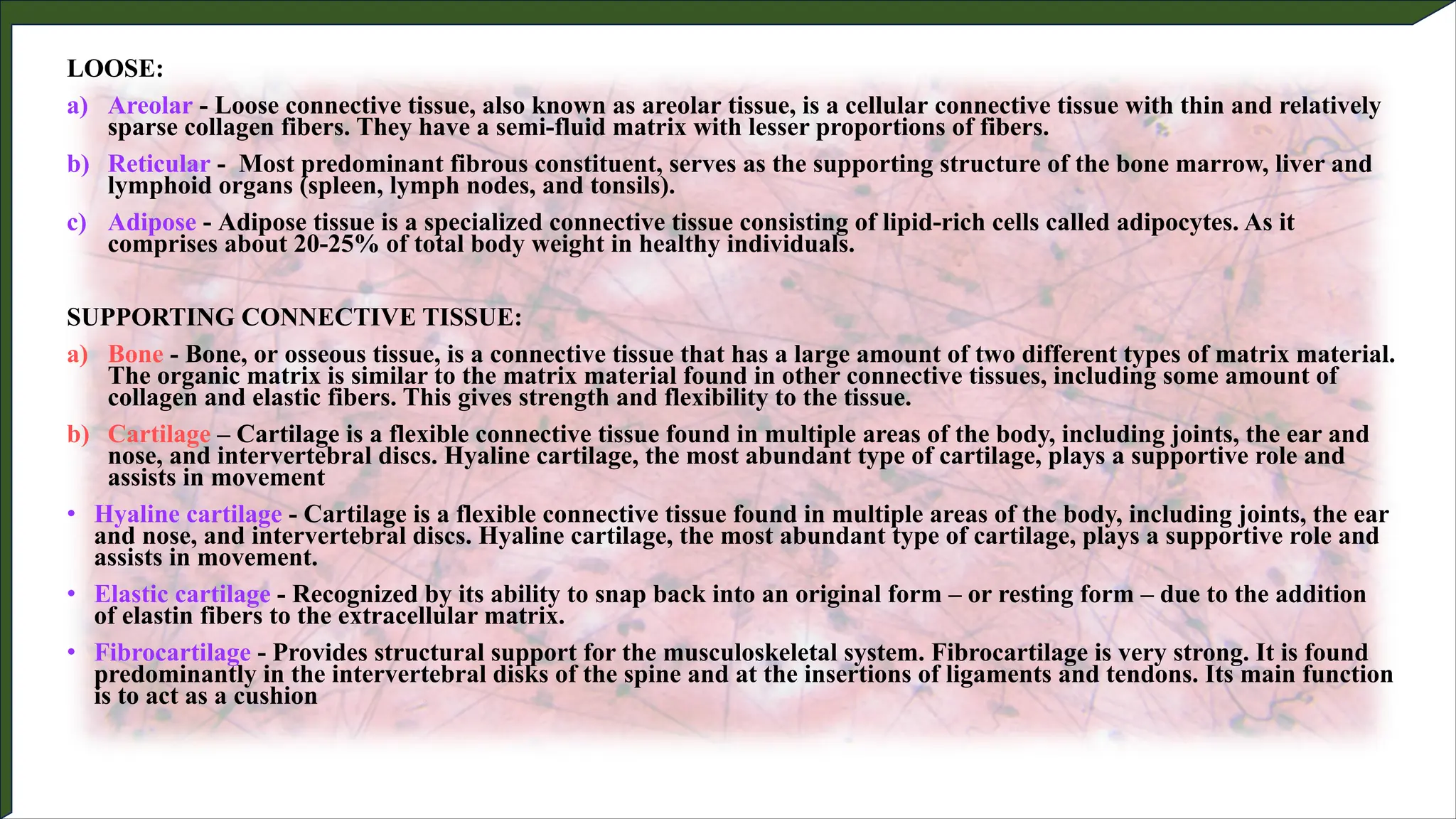 CONNECTIVE TISSUE (ANATOMY AND PHYSIOLOGY).pdf