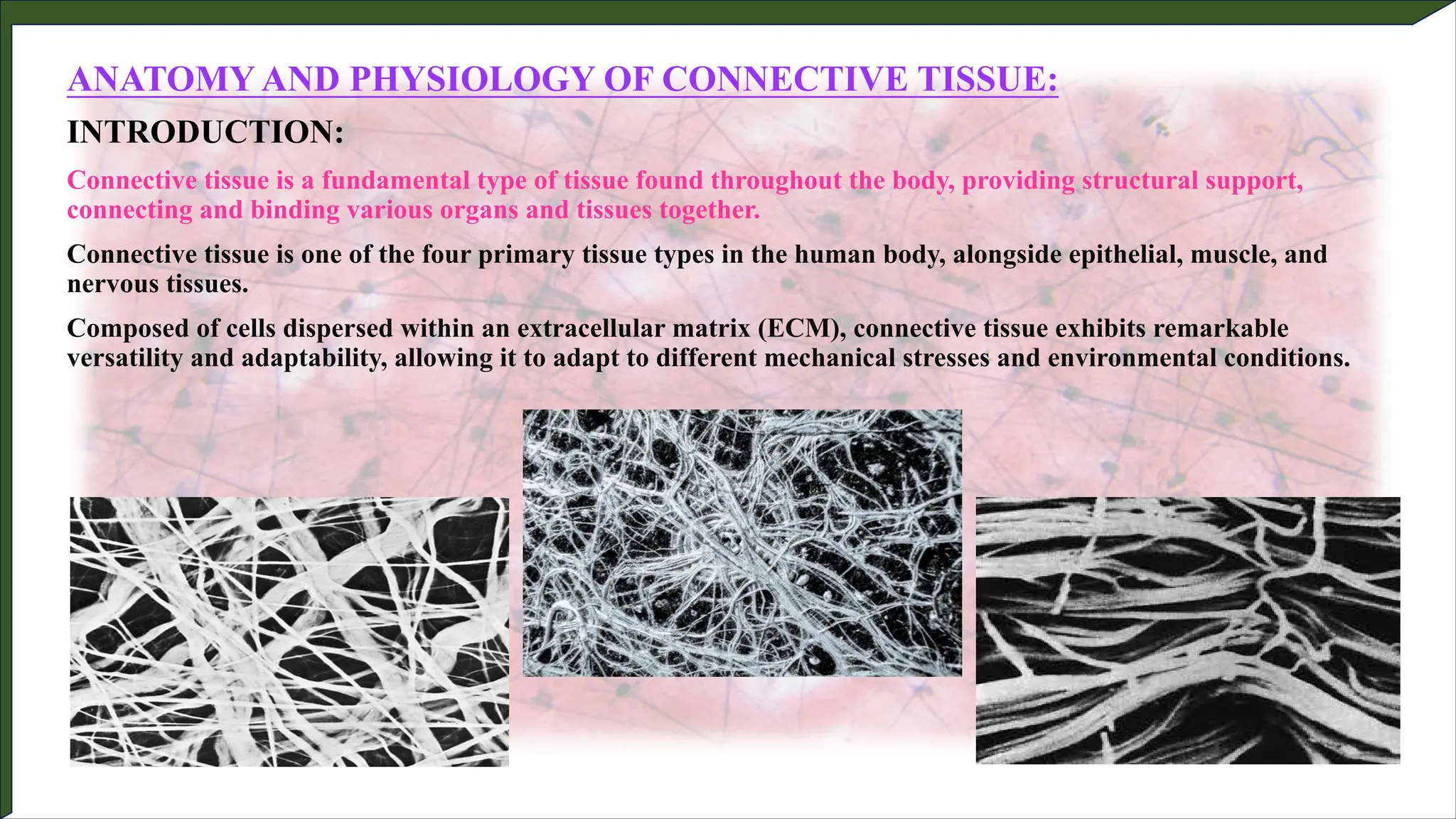 CONNECTIVE TISSUE (ANATOMY AND PHYSIOLOGY).pdf